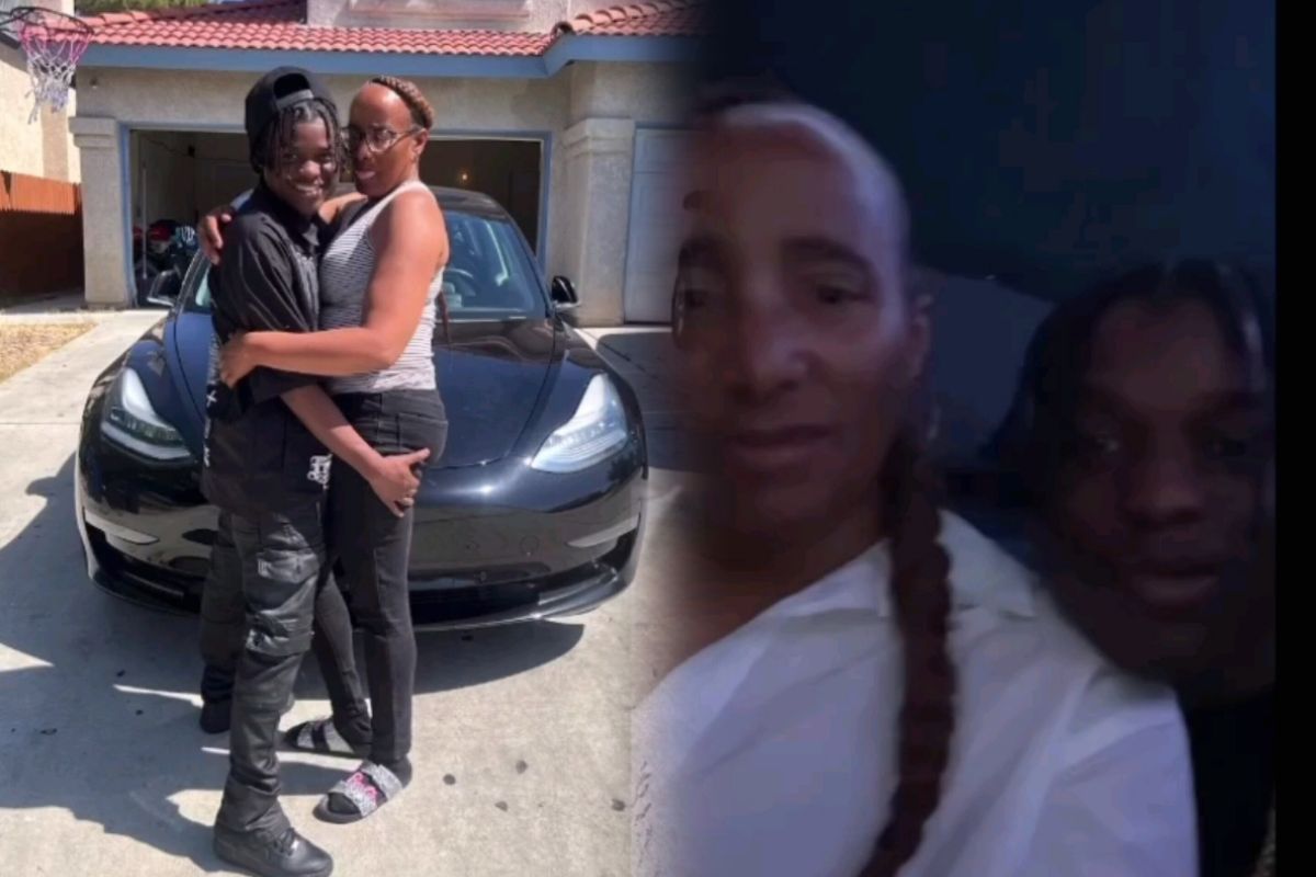 Smashing a Disabled Grandmother to Get a New Tesla Is Insane, This ...